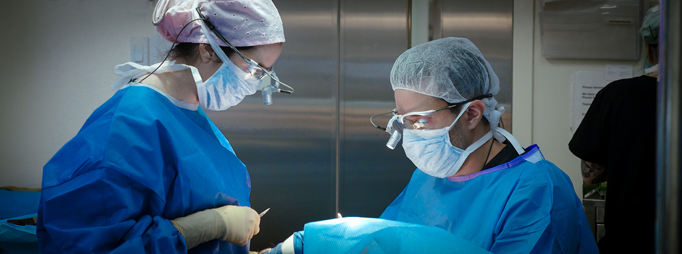 Operating Room Photography & Videography - Solia - Medical Marketing